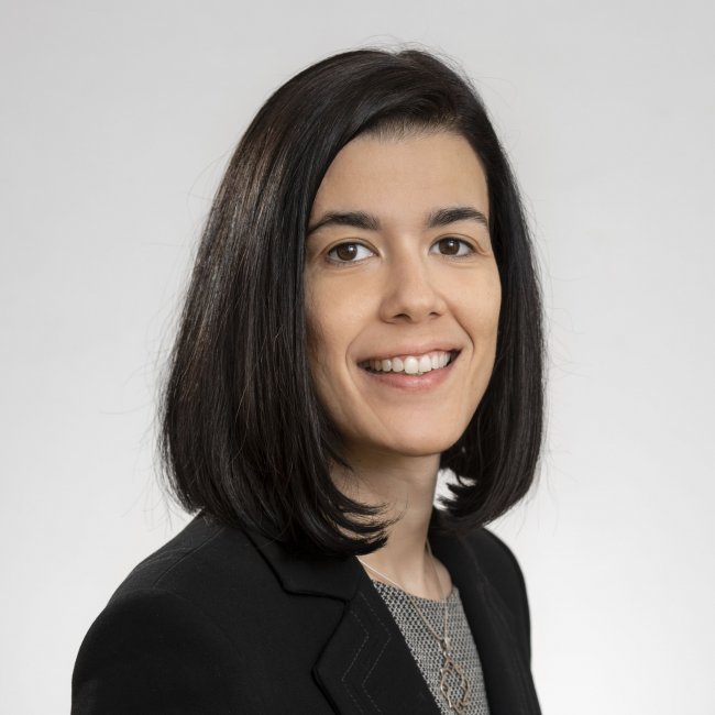 Consortium – POLINA